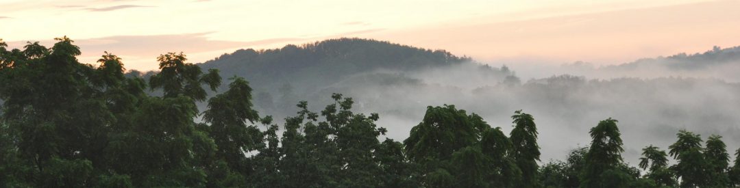 Medical VS. Clinical QiGong - Inner Strength, Inc. with Dr Ted Cibik