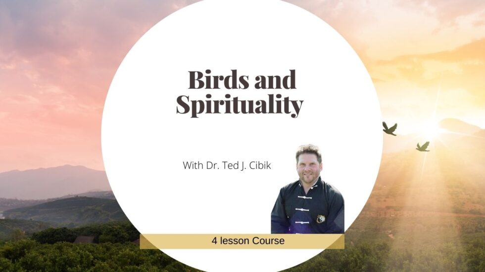 ONLINE Classes - Inner Strength, Inc. with Dr Ted Cibik